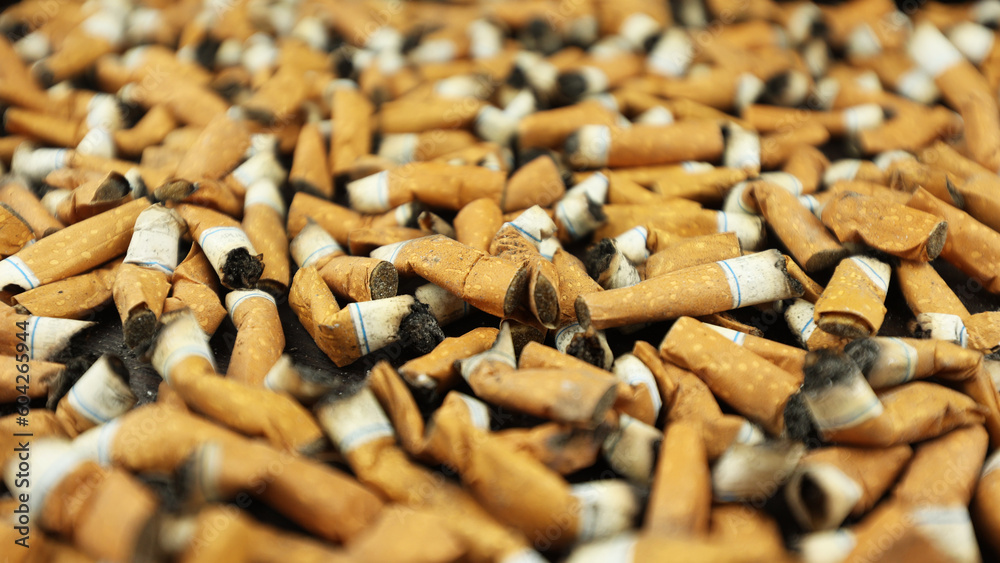 Foto de Many smoked cigarettes. Environmental pollution. Smoking harms ...