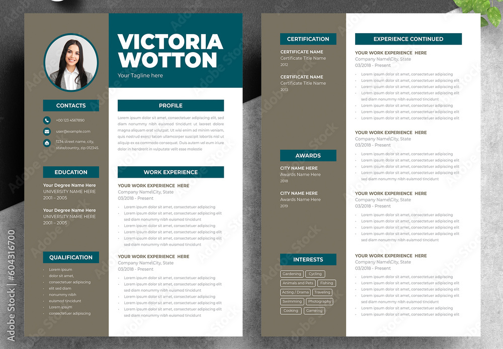 Clean & Modern Resume Layout Stock Template | Adobe Stock