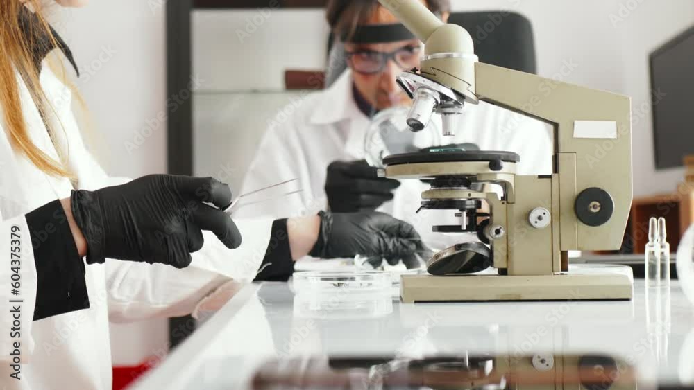 Teamwork of male and female entomologists to investigate insect ...