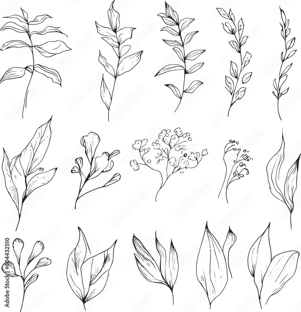 leaf coloring page and books, monochrome vector sketch, botanical leaf ...