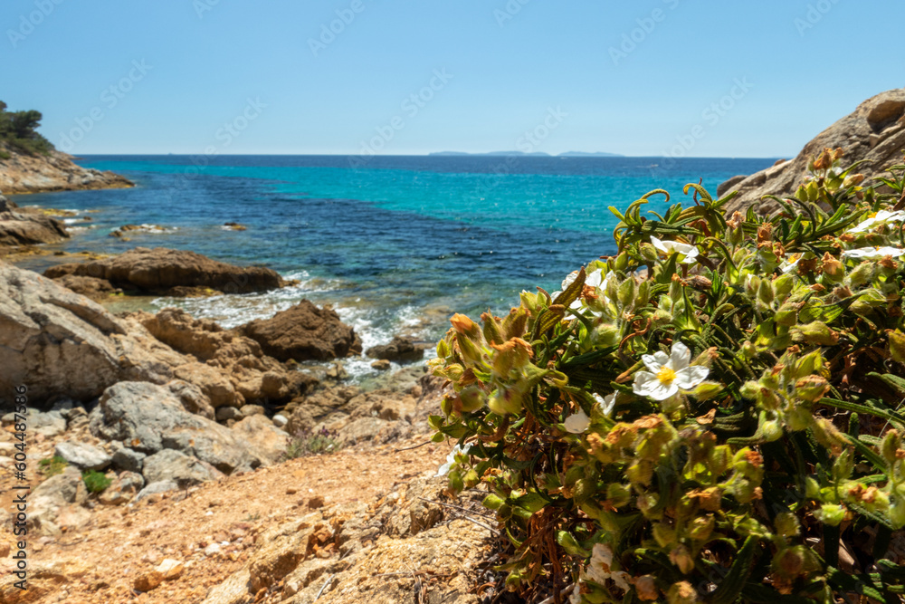 Foto de Calanque d'Aiguebonne, le sentier littoral entre la plage de ...