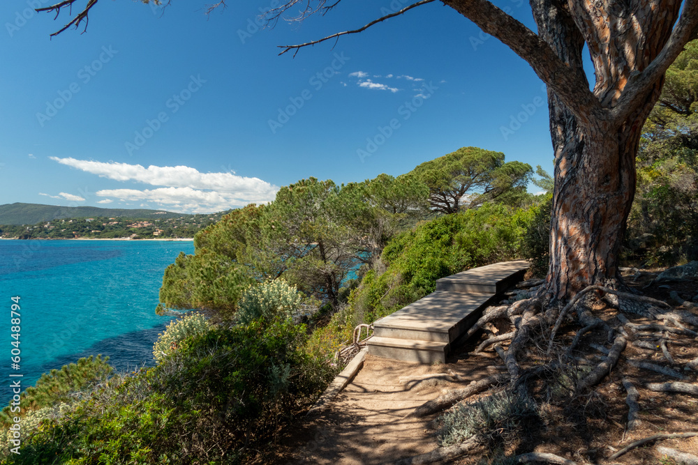 Foto de Calanque d'Aiguebonne, le sentier littoral entre la plage de ...