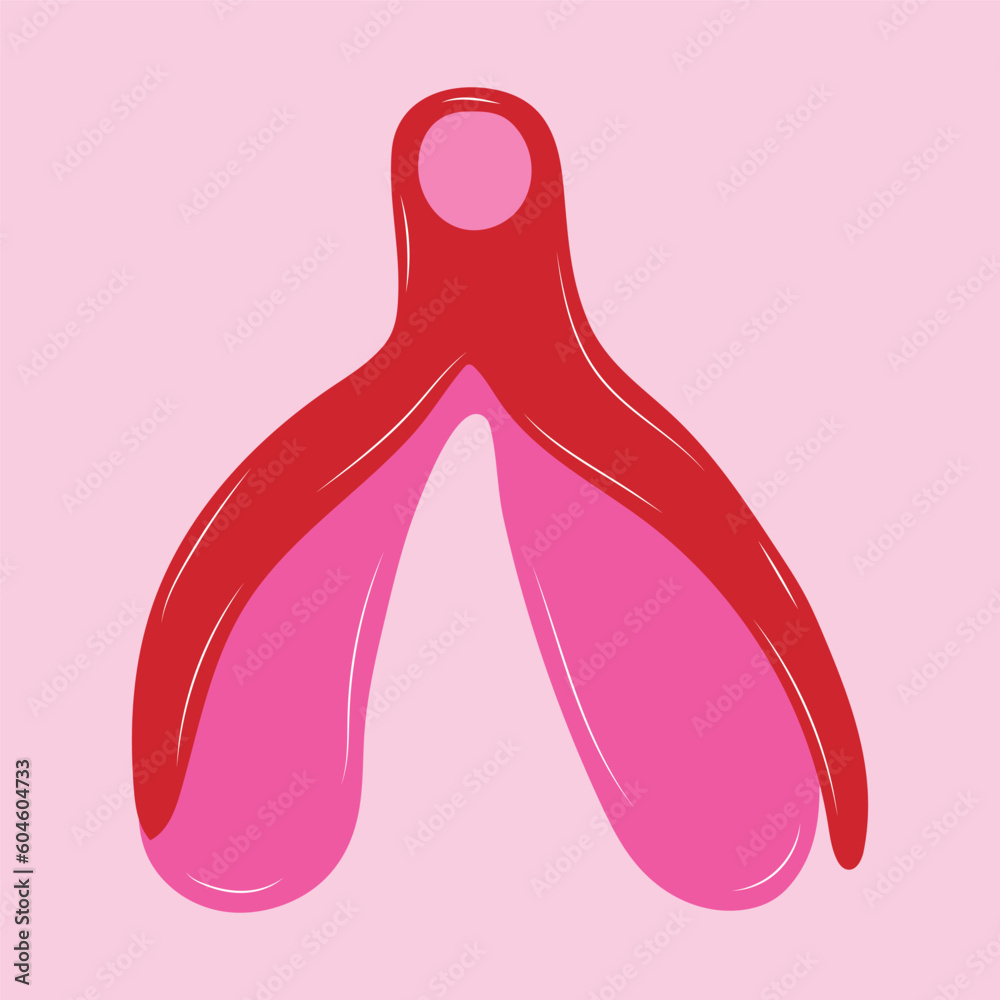 Reproductive system of the clitoris. Clitoral glans.Feminism theme and ...