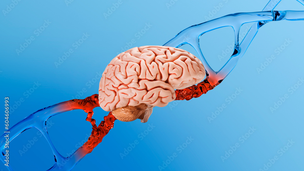 human brain, dna structure helix, deoxyribonucleic acid, nucleic acid ...