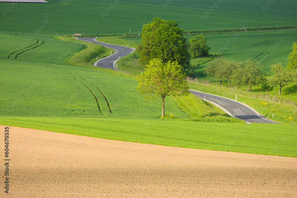 The photo captures the mesmerizing beauty of vast, undulating green ...