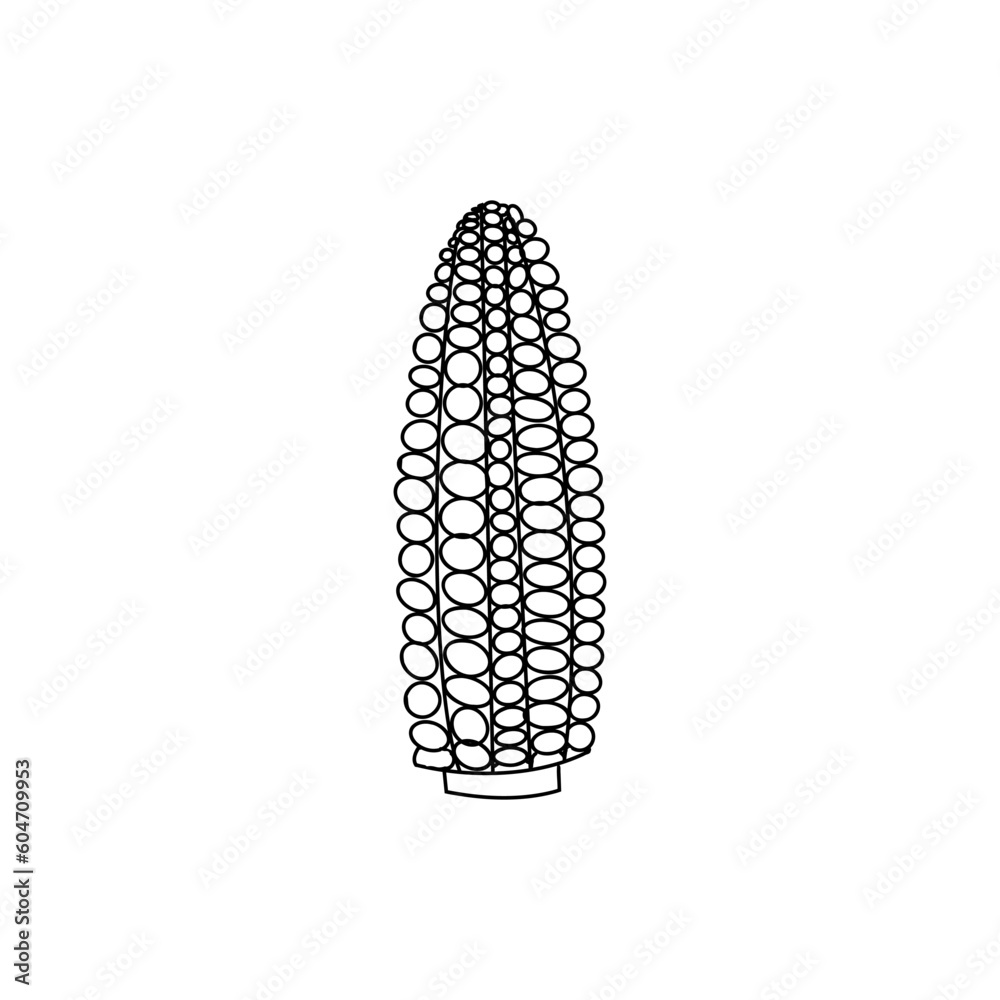 corn, sketch vector illustration, isolated on a white background ...