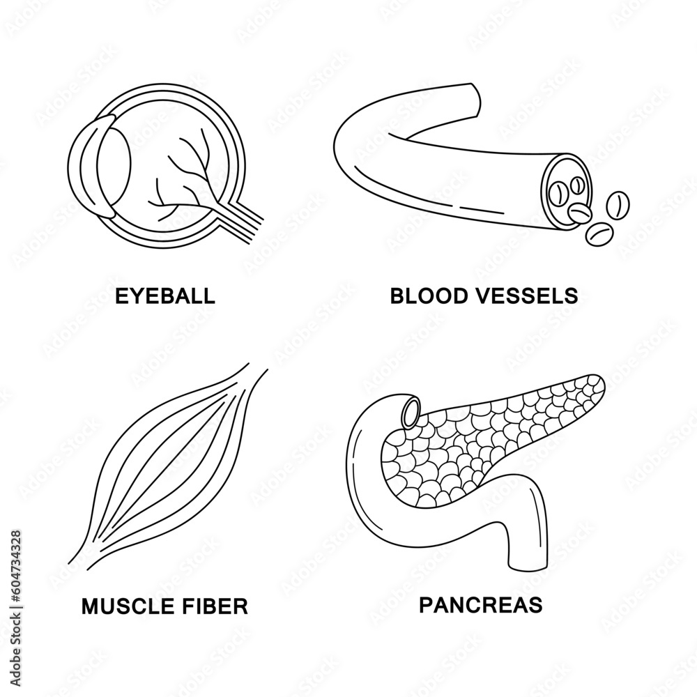 Medical icons set. Health care and medicine icons of eyeball, Blood ...