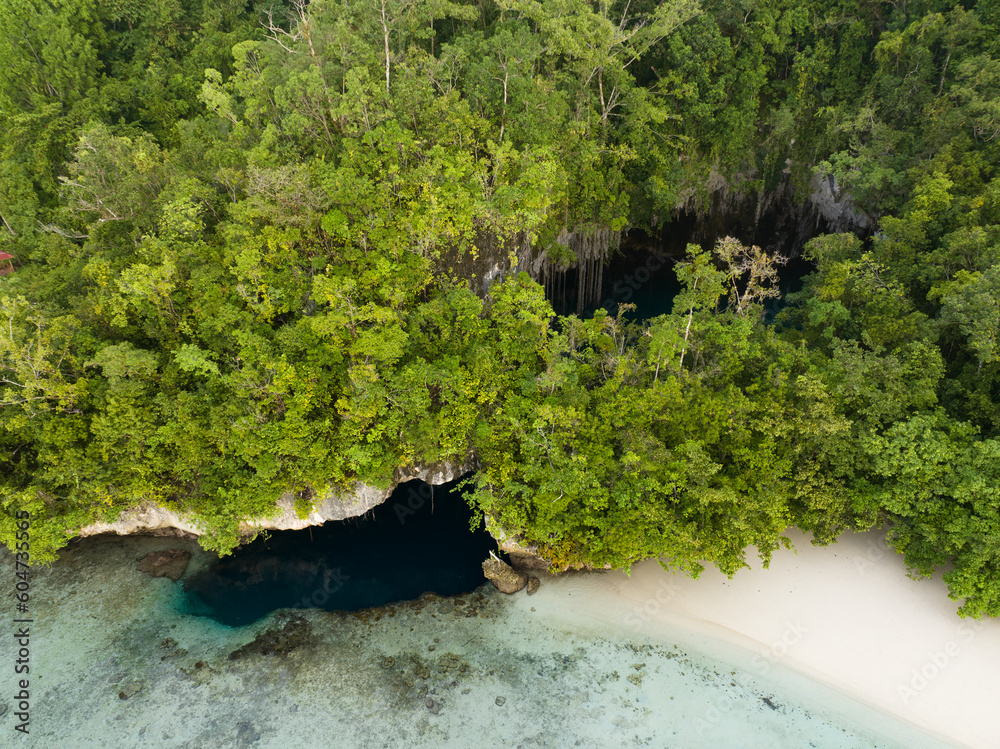 The mouth of a dark, water-filled cave opens on the edge of a forest ...