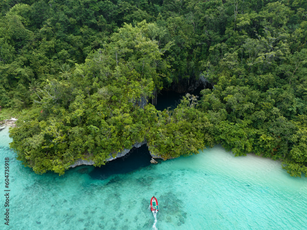 The mouth of a dark, water-filled cave opens on the edge of a forest ...