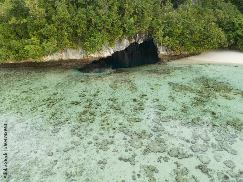 The mouth of a dark, water-filled cave opens on the edge of a forest ...
