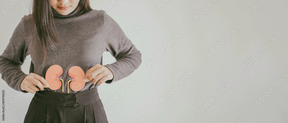 Hands holding kidney shape, chronic kidney disease, renal failure ...