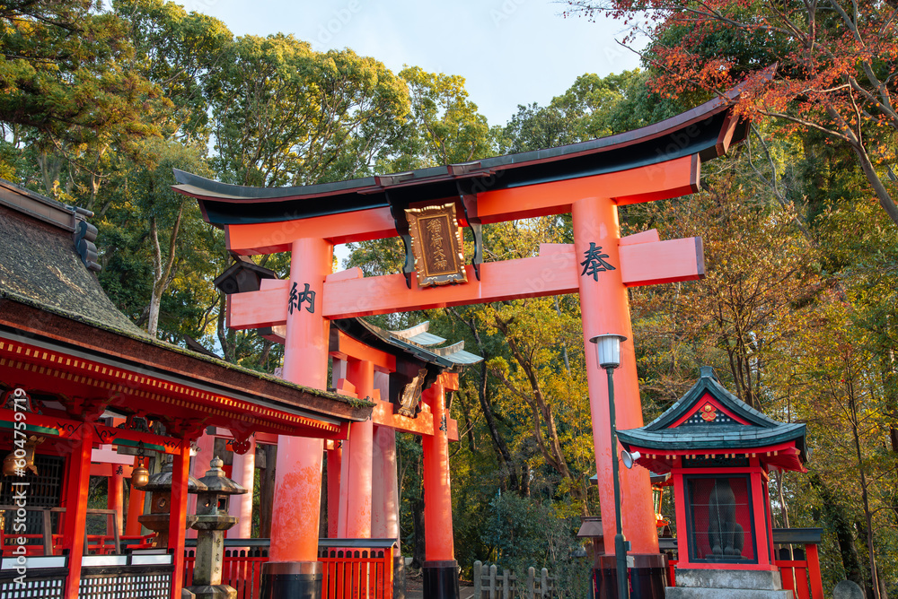 The most beautiful viewpoint of Fushimi Inari Taisha(Fushimi Inari ...