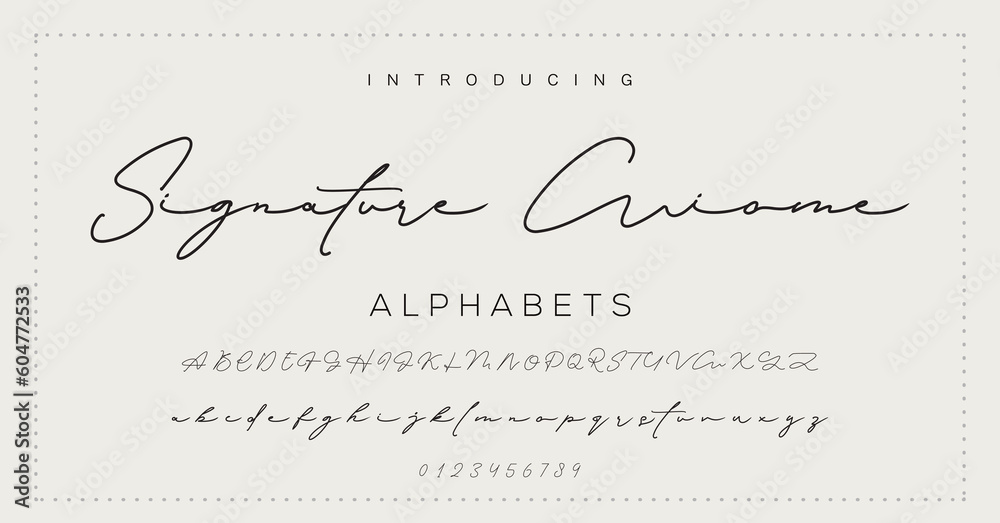 Hand drawn vector alphabet. Script font. Isolated letters written with ...