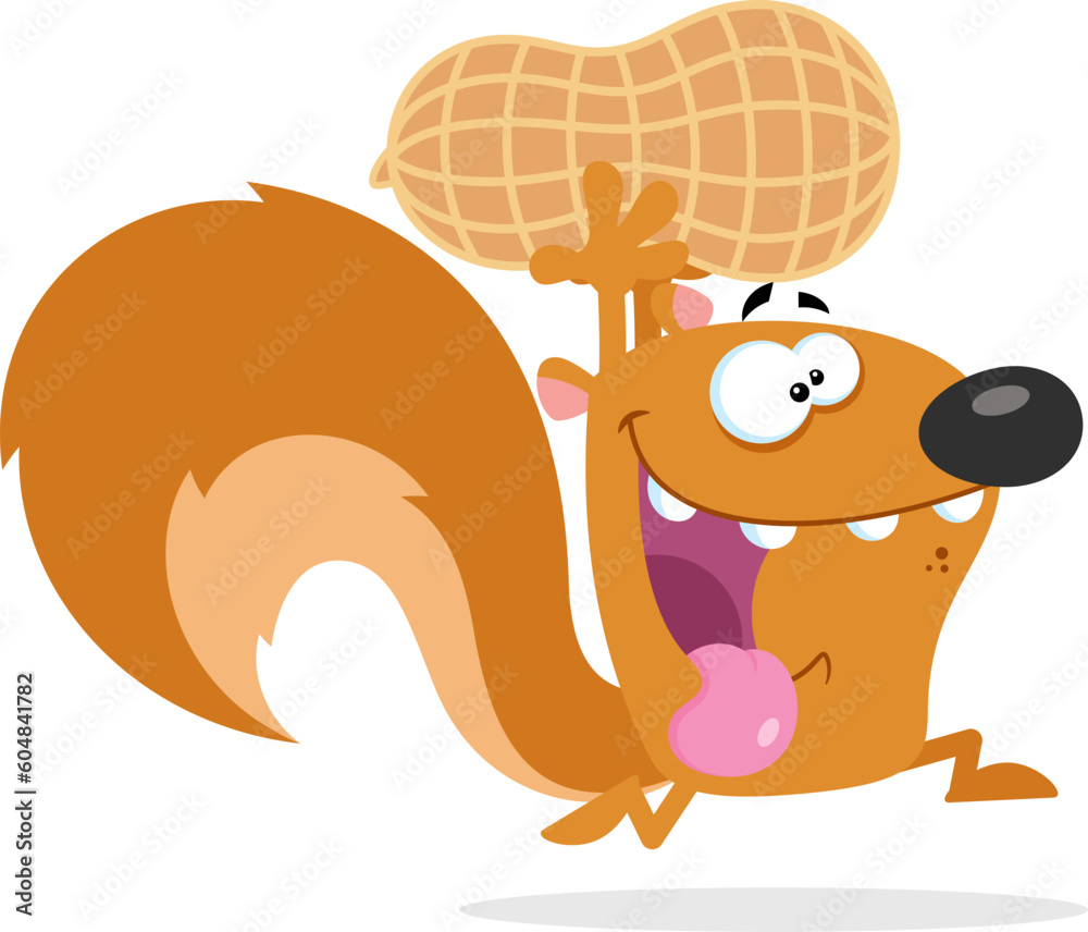 Crazy Squirrel Cartoon Mascot Character Running With Big Peanut. Vector ...