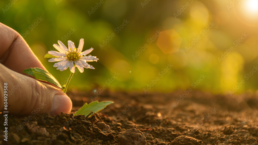 World environment day concept. Hand planting flower with environmental ...