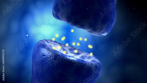 Synaptic Cleft Animation