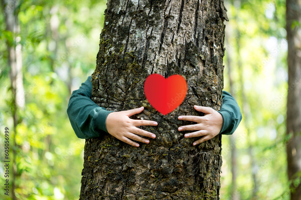 Hands hugging trees on world environment day. Woman in the woods ...