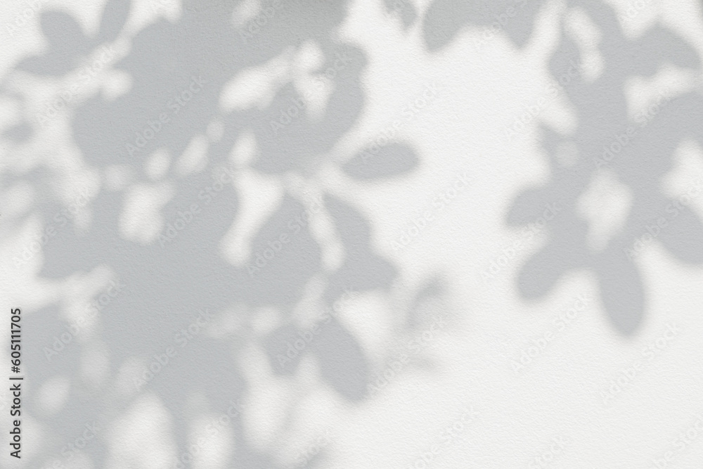 Leaf shadow and light on wall background. Nature tropical leaves tree ...