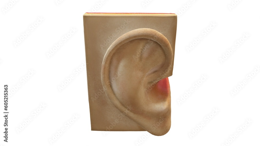 3d image Illustration render of human ear anatomy for biology science ...