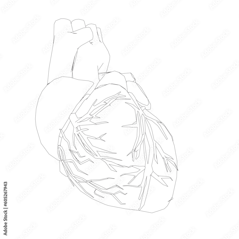 Realistic human heart vector drawing Human organs Creative abstract art ...