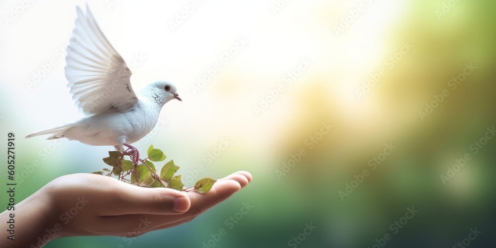 world environment and earth day, hands holding Peace dove over blurred ...