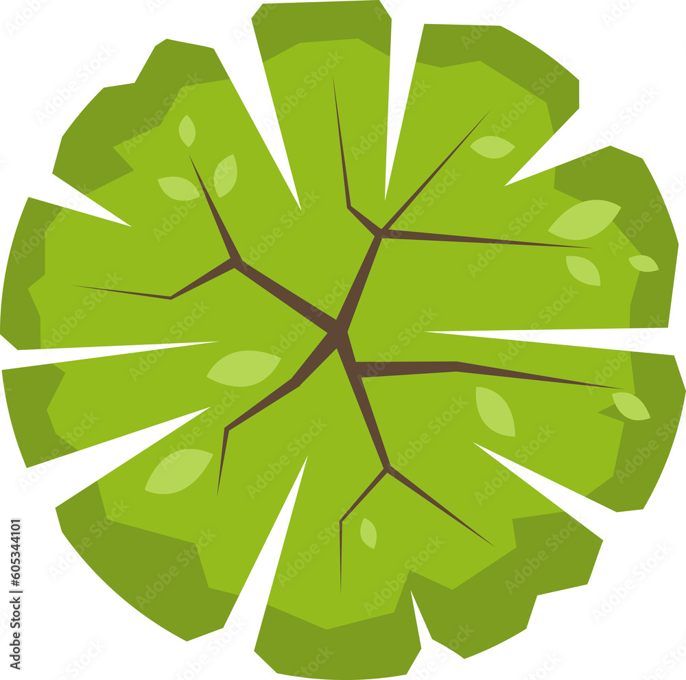 Tree or plant top view for landscape design. Icon colored tree for ...