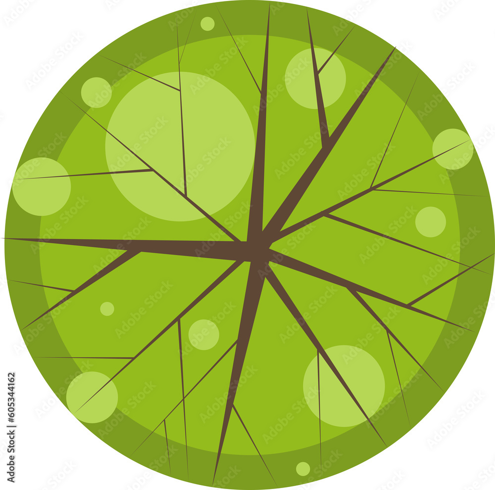 Tree or plant top view for landscape design. Icon colored tree for ...