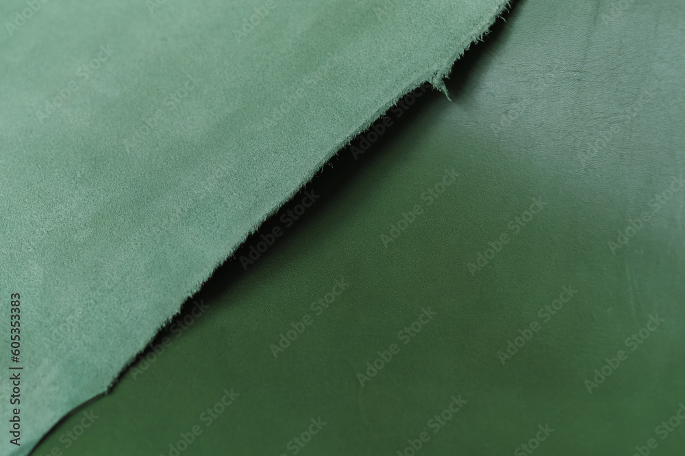 Exhibition featuring a range of high-quality green leather swatches in ...