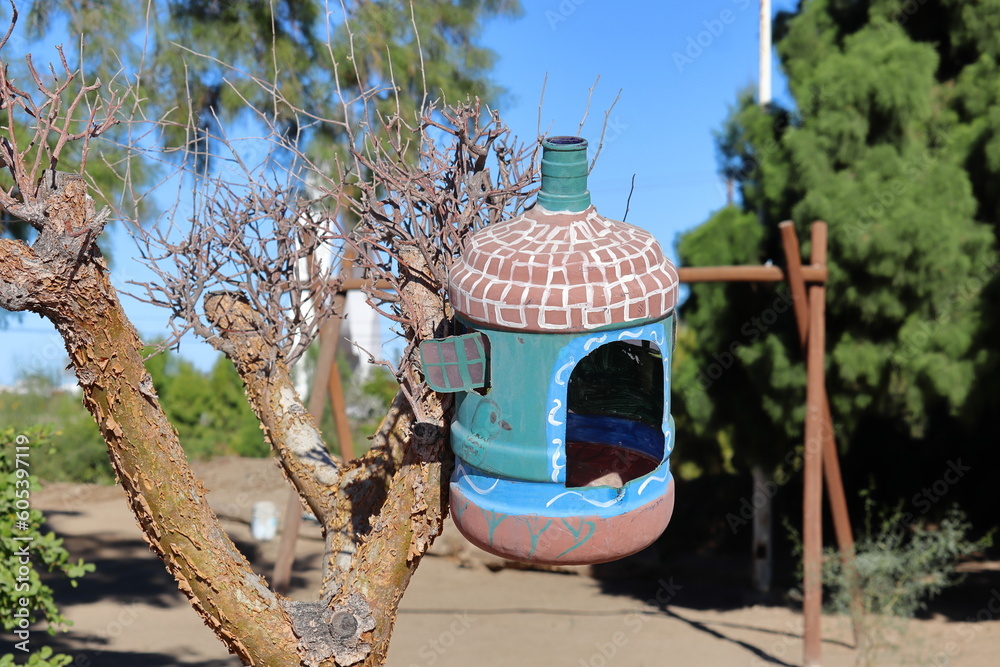 A jug of water in a tree, painted and transformed into a house to ...