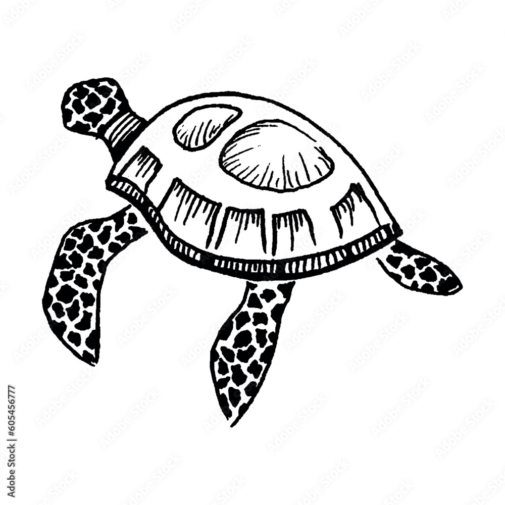 Set of big sea turtle cartoon cute animal design ocean tortoise ...