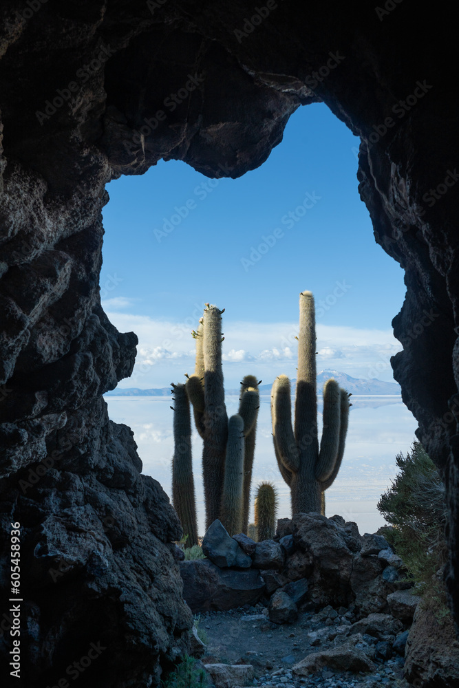 Cacti in a Cave at Incahuasi.Island. Uyuni Salt Flats. Altiplano ...