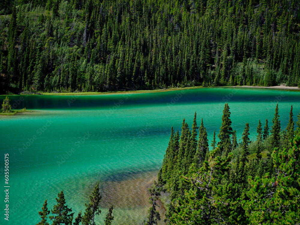 The Glacial silt laden Emerald lake near Carcross Yukon Territory ...