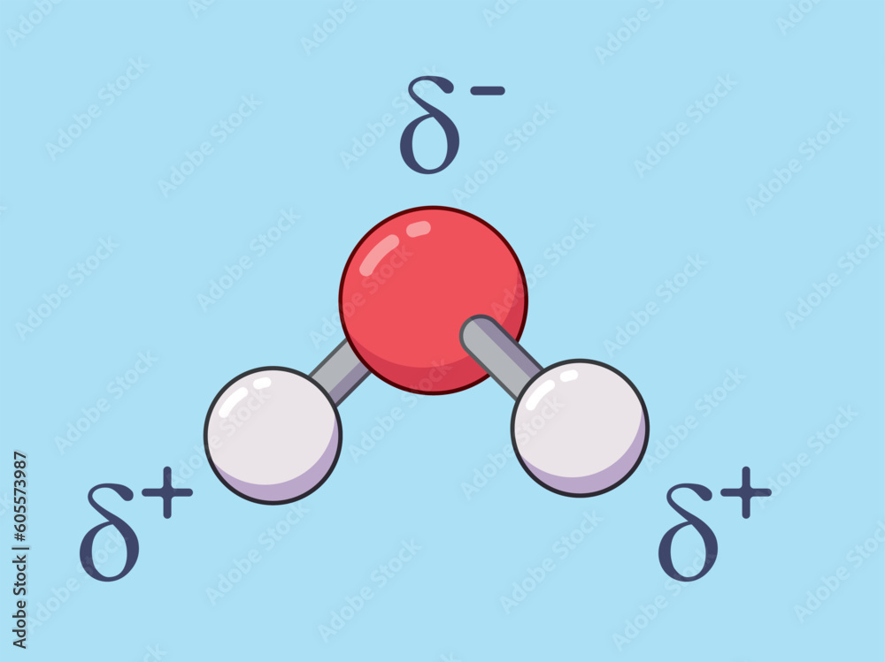 Cartoon Water Molecule With Partial Charges Stock Vector Adobe Stock