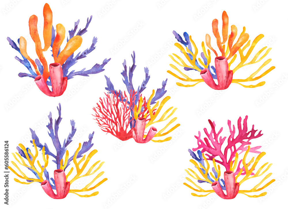 Watercolor coral reef drawing sea ocean natural kelp algae, polyp coral ...