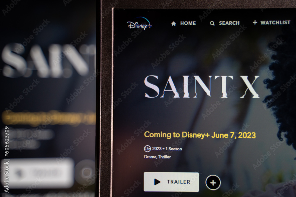 Saint X tv series poster on Disney Plus site. Saint X is an American ...
