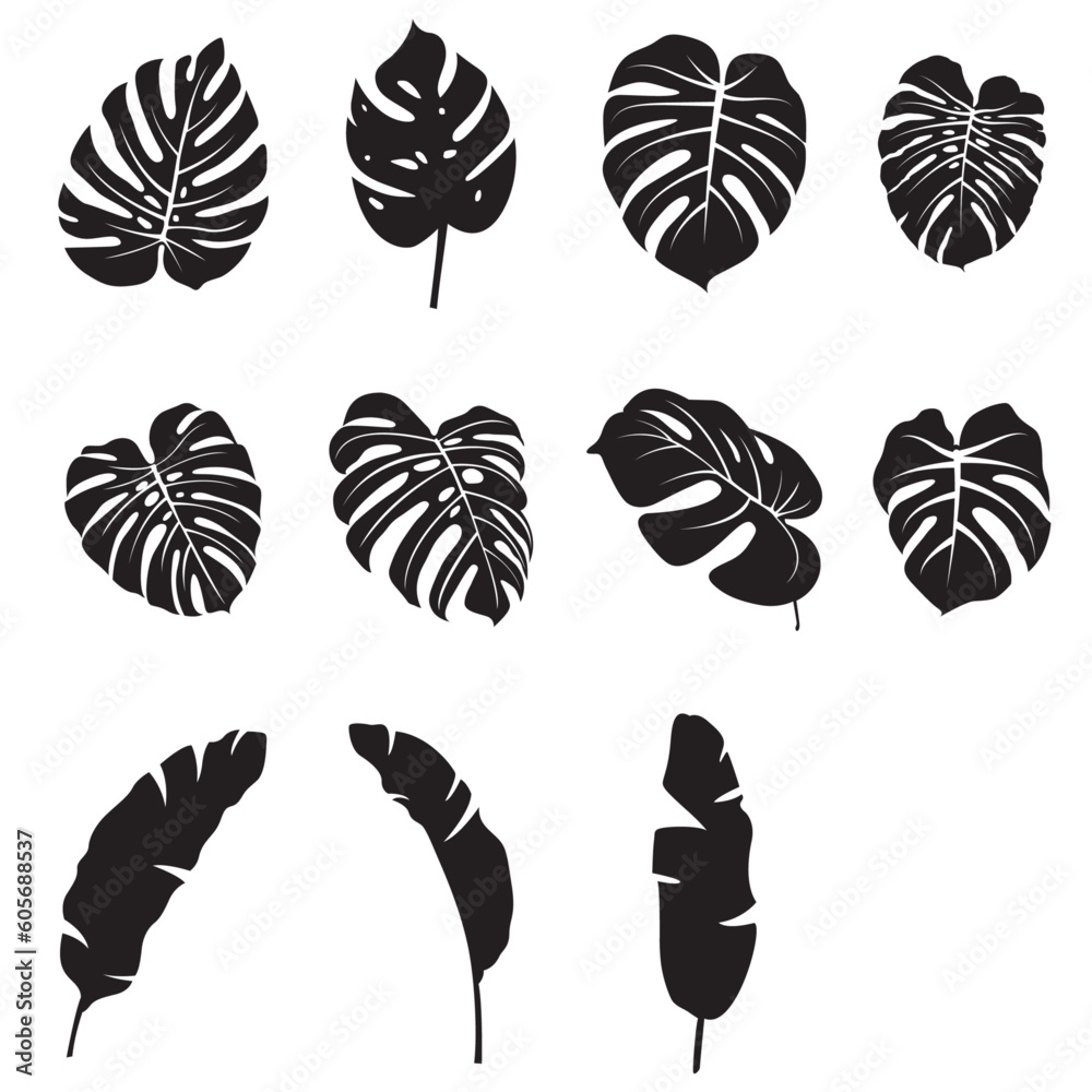 Tropical Leaves Svg, Tropical Leaf SVG, Tropical Leaf, Leaf Svg, Leaves ...