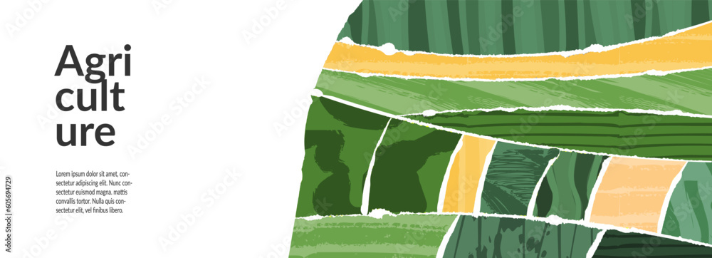 Abstract farm field collage background. Agro land backdrop, farmland ...