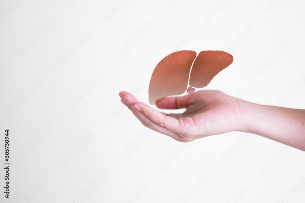 Hand's holding liver, concept of liver and organ donation or charity ...