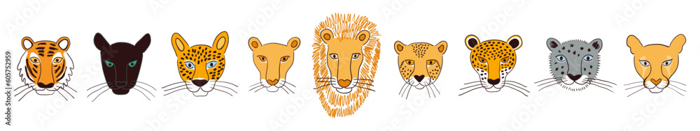 Big cats faces isolated collection, color. Lion, tiger, leopard, jaguar ...
