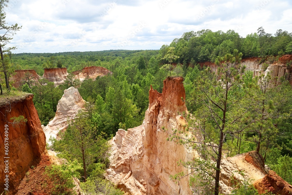 Tree Standing Alone Atop Cliffs Peak at Providence Canyon State Park in ...