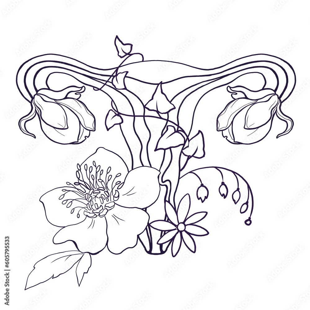 Female reproductive organs, uterus and ovaries with flowers. Graphic ...