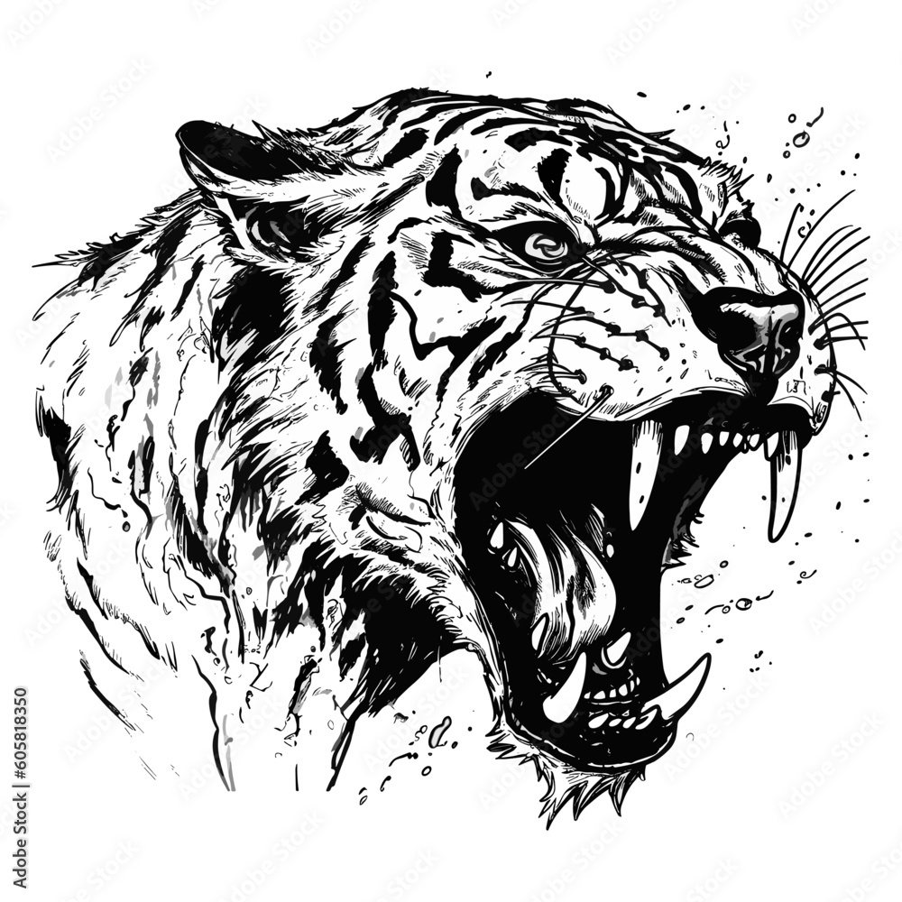 Aggressive Tiger Outline Design: Hand-Drawn Splash Illustration ...
