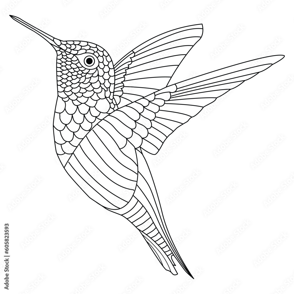 Hummingbird mandala. Black and white line art coloring book page with ...