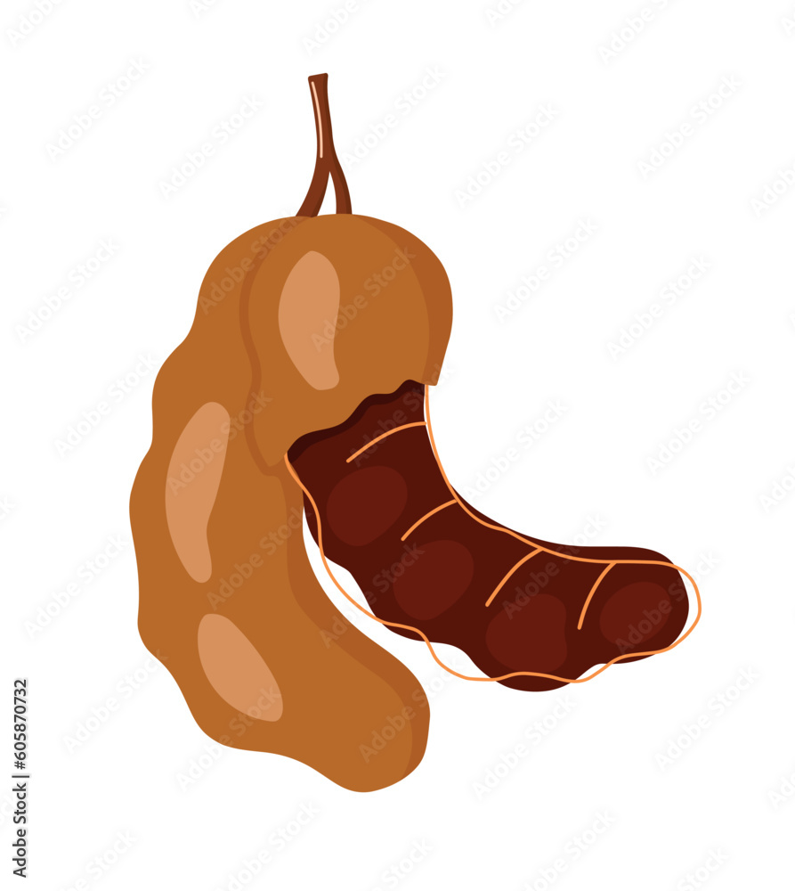 Tamarind Fruit Icon Doodle Hand Drawing Cartoon Vector Illustration ...