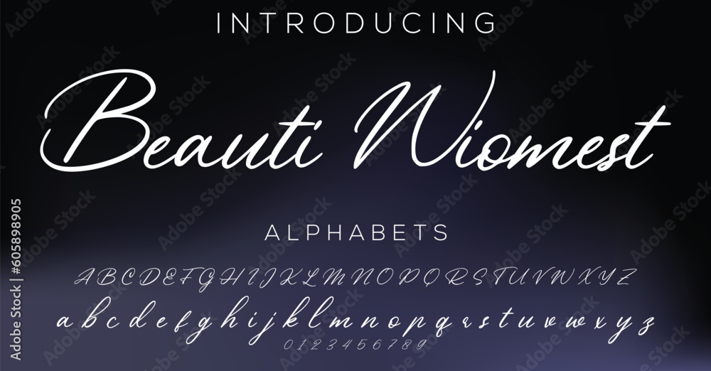 Hand drawn vector alphabet. Script font. Isolated letters written with ...