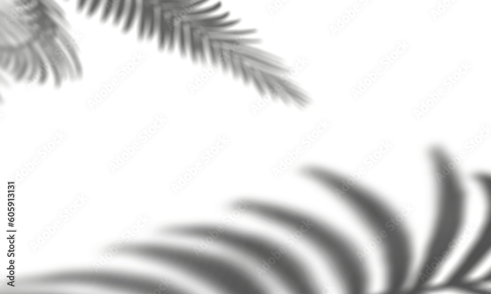 Shadow overlay effect transparent background. Abstract sunlight ...