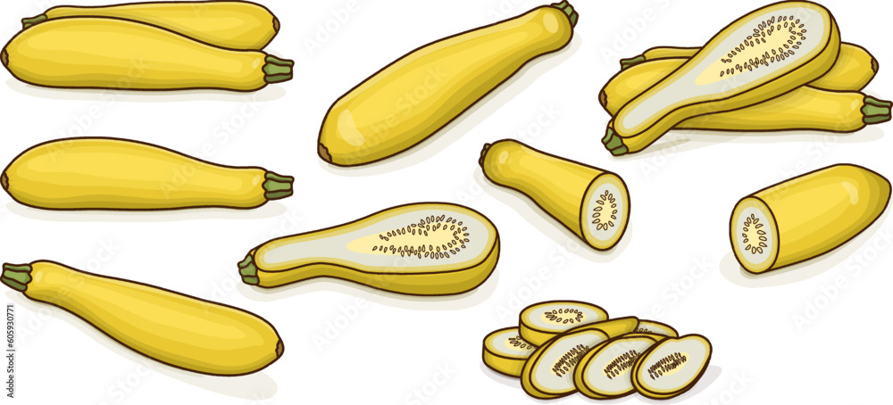 Set with whole, half, quarter and slices of StraightNeck or Straight ...
