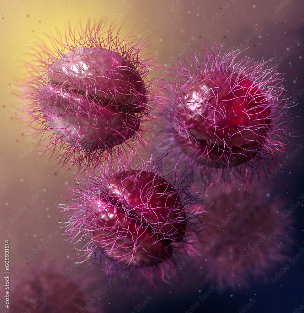 Medical background, genus bacteria from the Neisseriaceae family ...