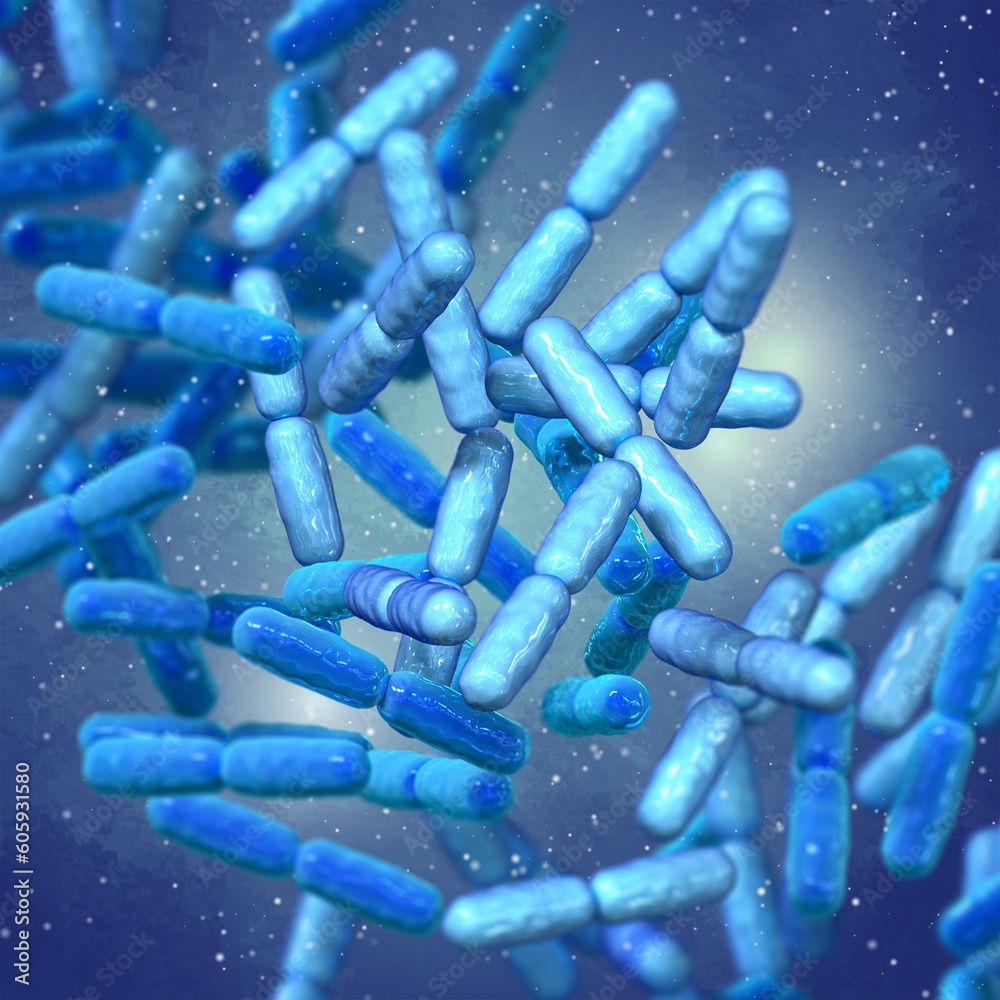 Probiotic beneficial bacteria, normal intestinal microflora ...