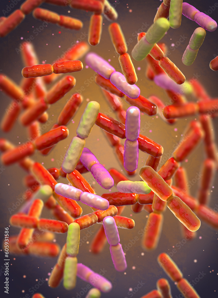 Probiotic beneficial bacteria, normal intestinal microflora ...